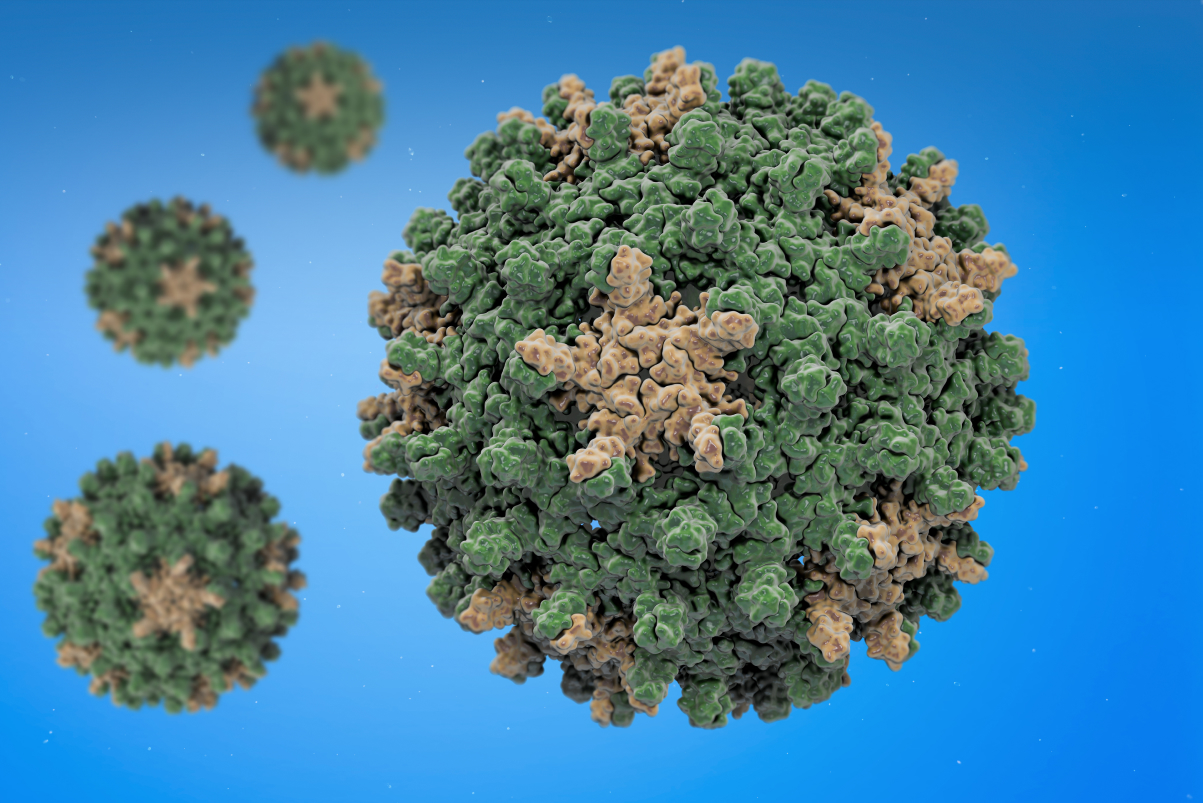 Infectious Disease – Lakeshore Bio